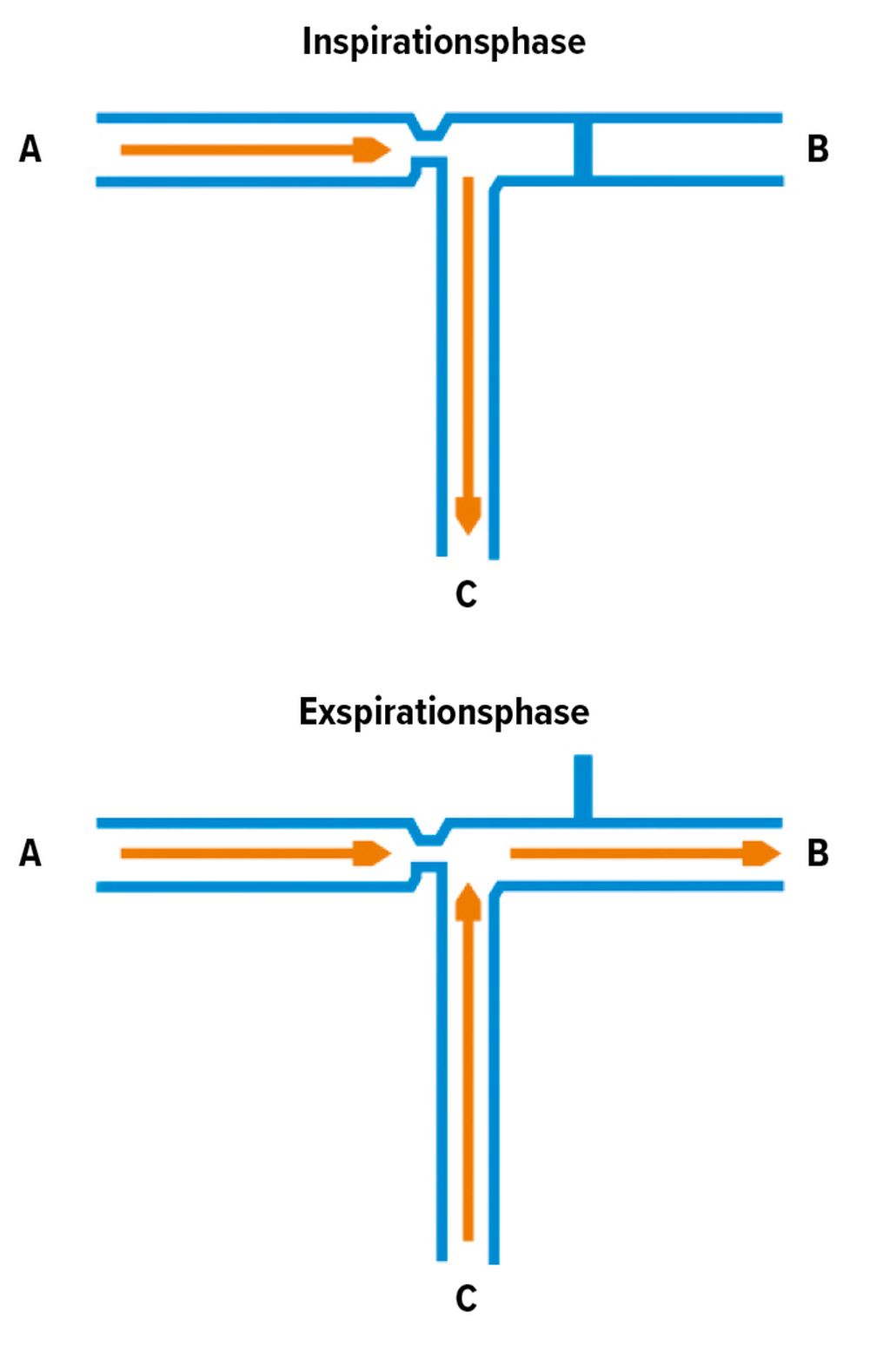 Was die flusskontrollierte Beatmung alles kann! - HNO - Universimed ...